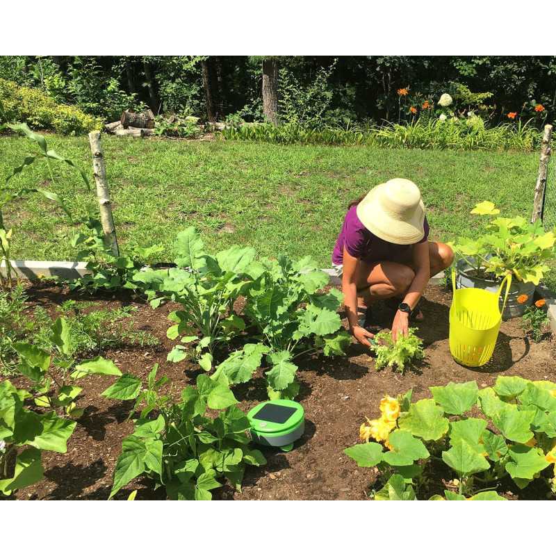 Tertill Weeding Robot | Solar-Powered Garden Care