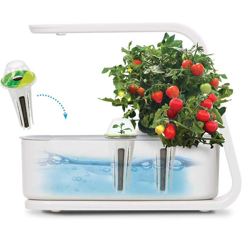 AeroGarden Sprout: Indoor Garden for Year-Round Fresh Herbs