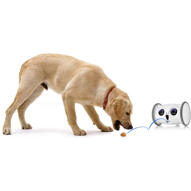 SKYMEE Owl Robot: Your Pet's New Best Friend